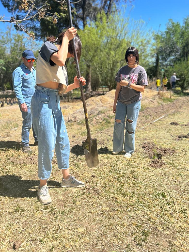 Página Oficial del H. Ayuntamiento de Juárez