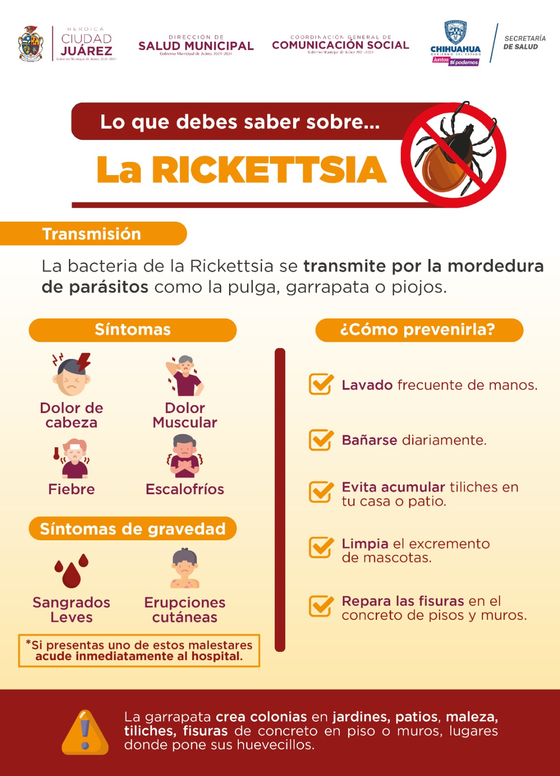 Página Oficial del H. Ayuntamiento de Juárez